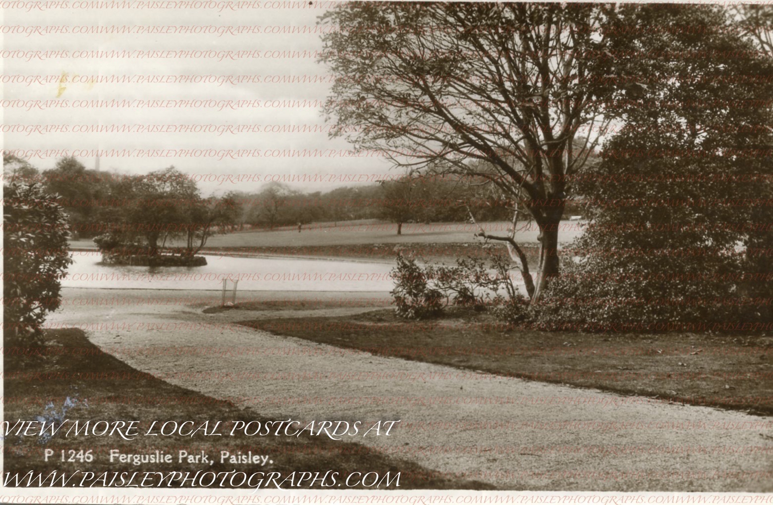 Ferguslie park – Paisley Photographs
