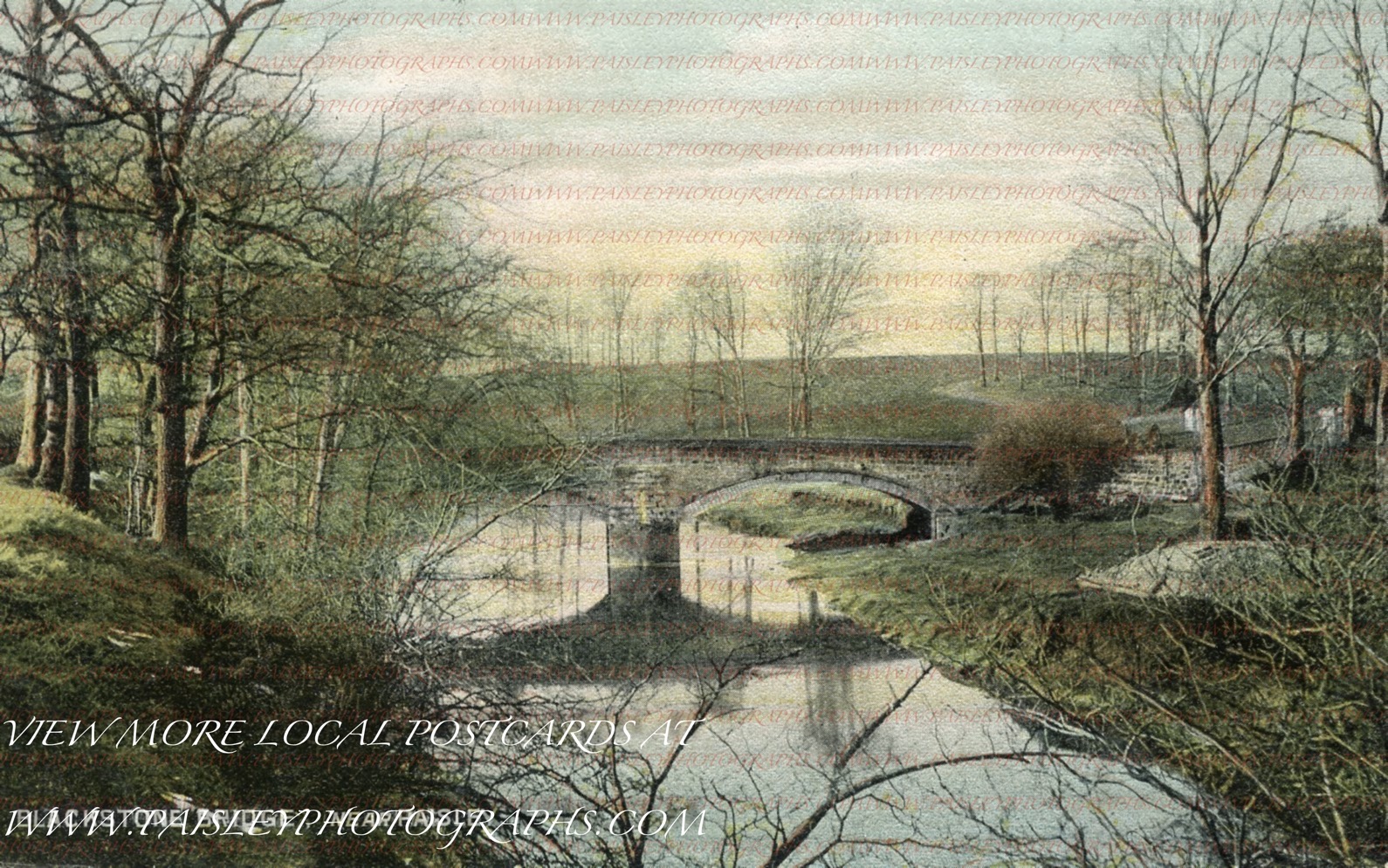 Ferguslie park – Paisley Photographs