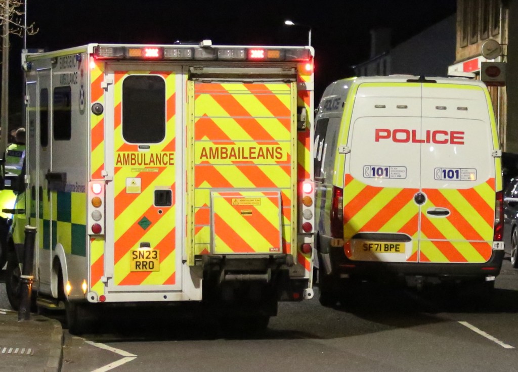Dog Walker Seriously Assaulted in Paisley Park – Paisley Photographs